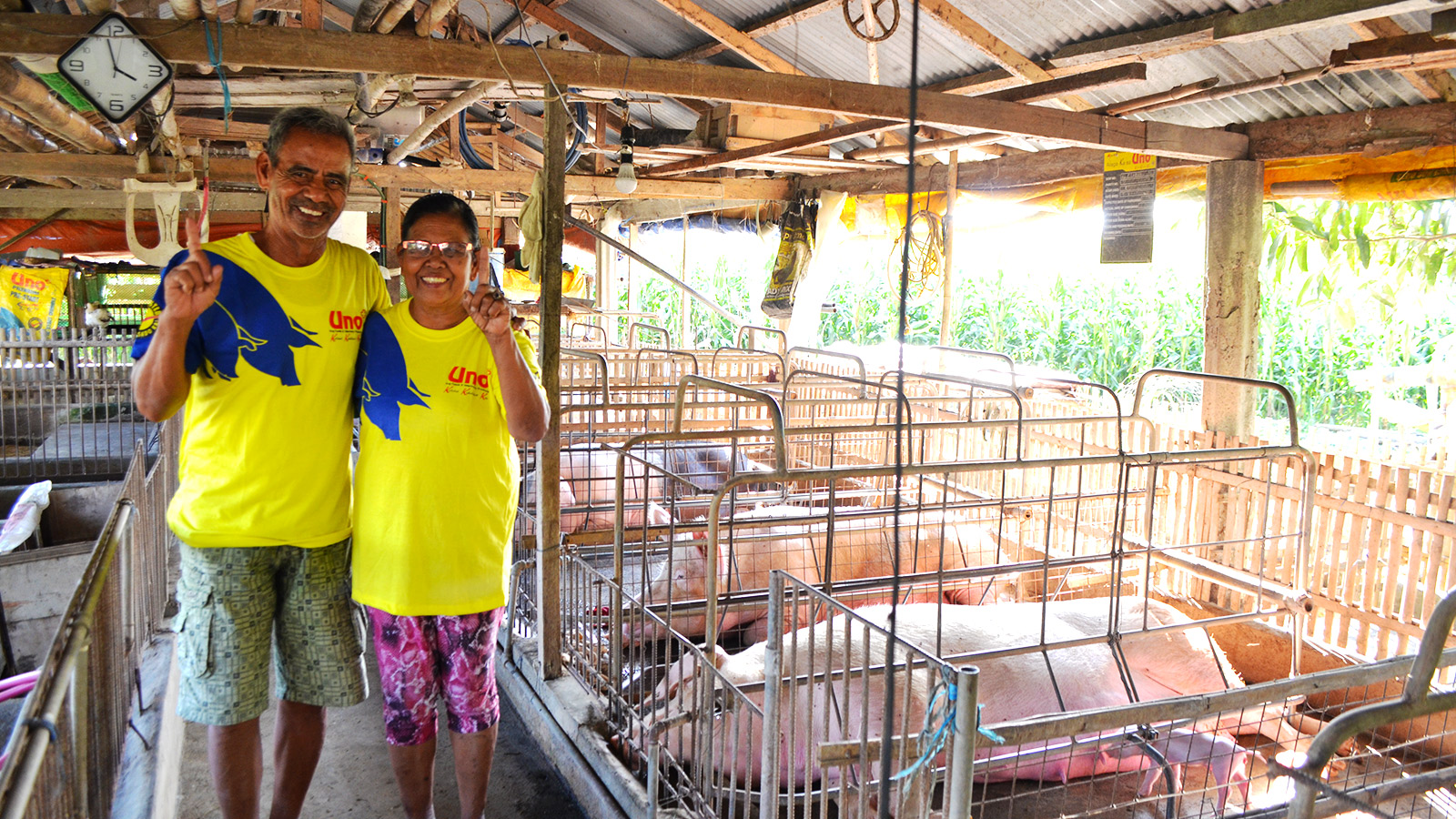 Pinoy Hog Raisers Are Finding Hope Through This Support... – JG Summit ...